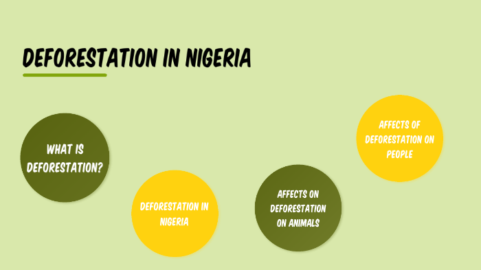 Deforestation in Nigeria by Haina Xiong on Prezi