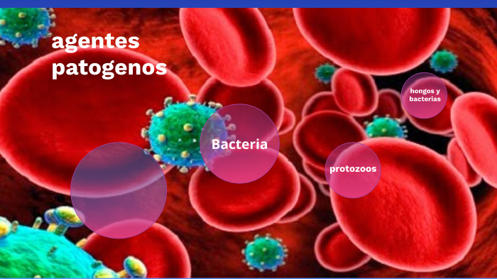 agentes patogenos by Weslie Vasquez Garcia on Prezi