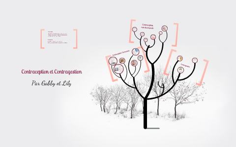 La Contraception et la Contragestion by Gabrielle Lily on Prezi