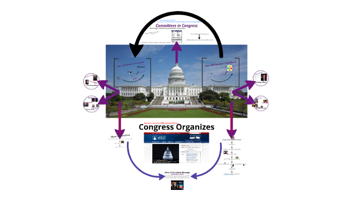 Congress in Action by Eric Austin on Prezi