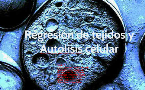 Regresión de tejidos y Autolisis celular by Alan Hernández on Prezi
