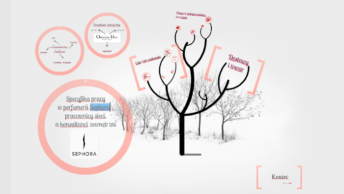Specyfika pracy by Dominik Adamus on Prezi