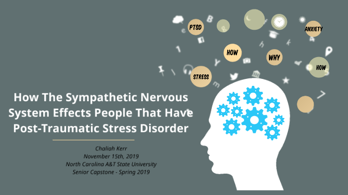 The Role of the Sympathetic Nervous System on People That Have PTSD by ...