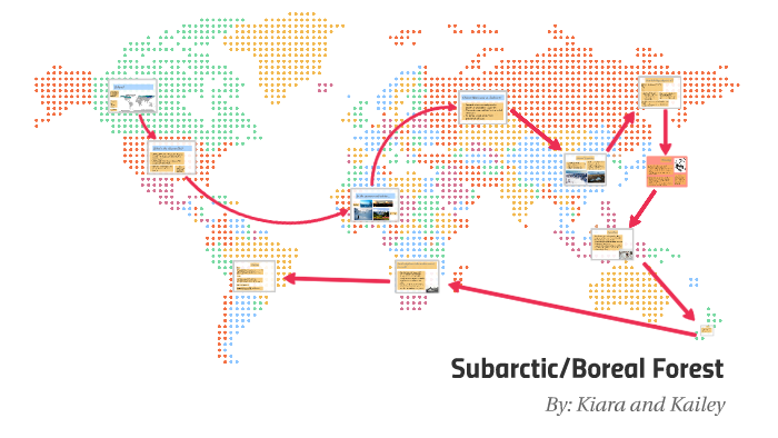 Subarctic/Boreal Forest by Kailey Wegener on Prezi