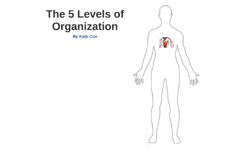 The 5 Levels of Organization by Katelyn Cox on Prezi