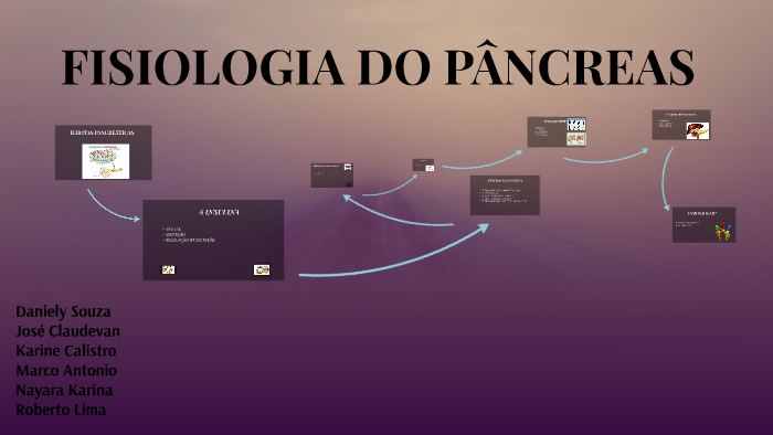 FISIOLOGIA DO PÂNCREAS by Nay Brito on Prezi