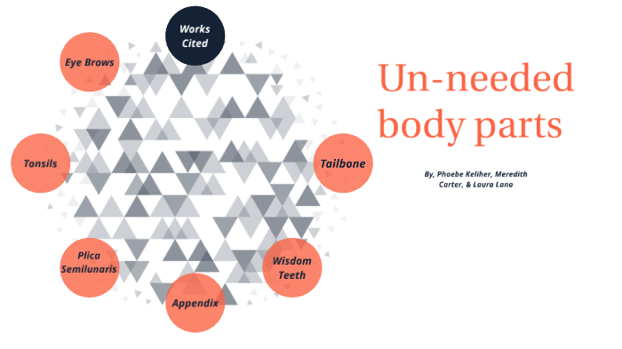 Unneeded Parts of the Body by PHOEBE KELIHER on Prezi