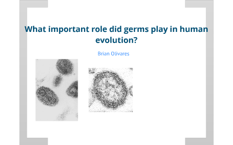 What important role did germs play in human evolution? by Brian Oivares ...