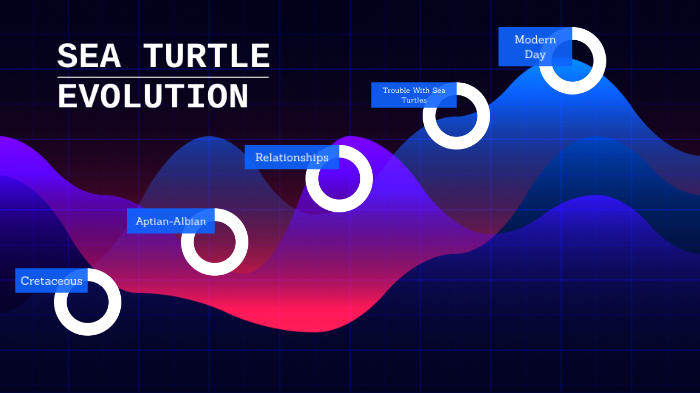 Sea turtle Evolution! by Jess Ota on Prezi
