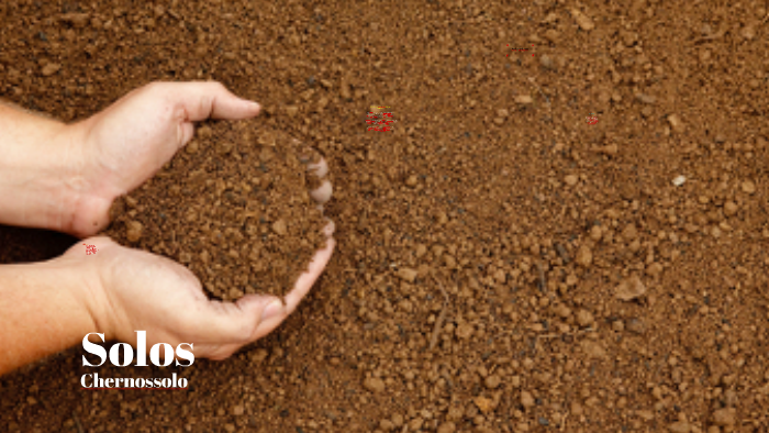 Chernossolos by Marco Muraro on Prezi