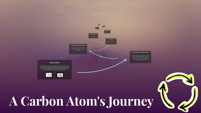 A Carbon Atom's Journey by on Prezi