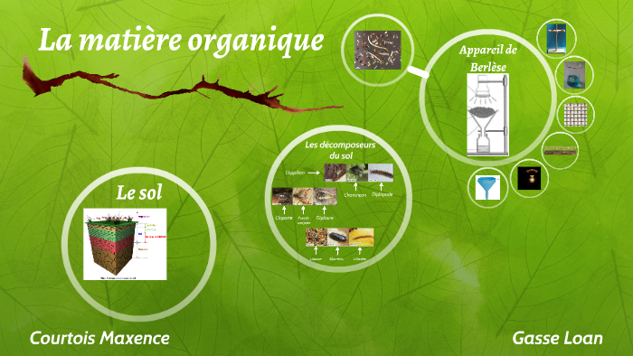 La matière organique by maxence courtois on Prezi
