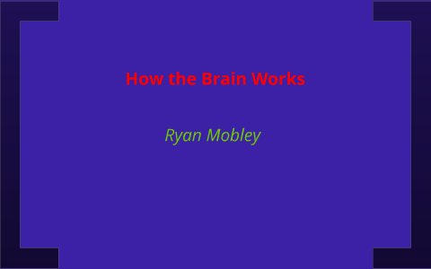 How the Brain Works by Ryan Mobley on Prezi