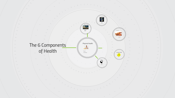 The 6 Components of Health by aaron yu
