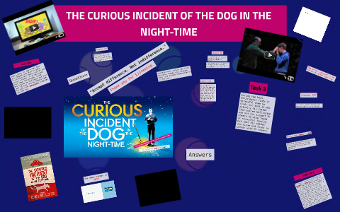 THE CURIOUS INCIDENT OF THE DOG IN THE NIGHT-TIME by Adam Findlay