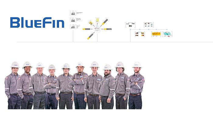 BlueFin: Company Overview by Jason Foster on Prezi