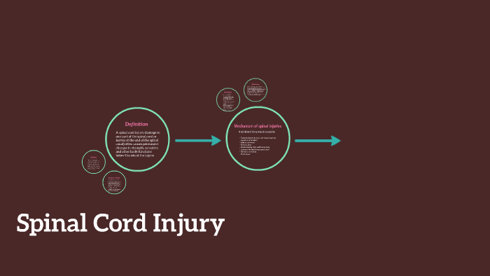 Spinal Injury by Amara Reyes