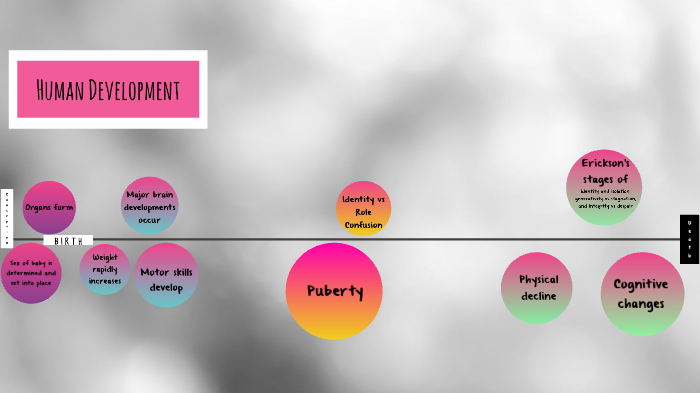 Human Development Timeline by Francesca Tiermini on Prezi