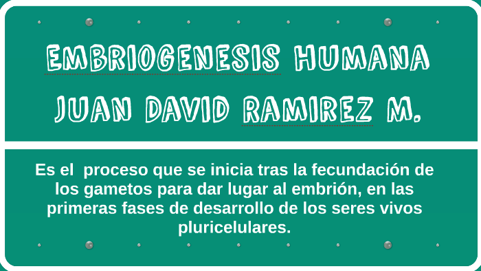 Embriogenesis humana by JUAN DAVID RAMIREZ MENDIVELSO