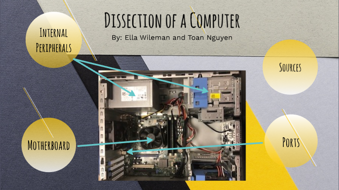 Dissection of a Computer by Ella Wileman on Prezi