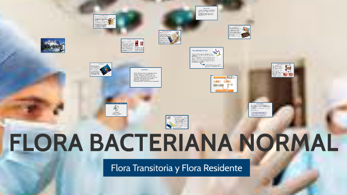 FLORA BACTERIANA NORMAL by GINA GALVAN LOPEZ on Prezi