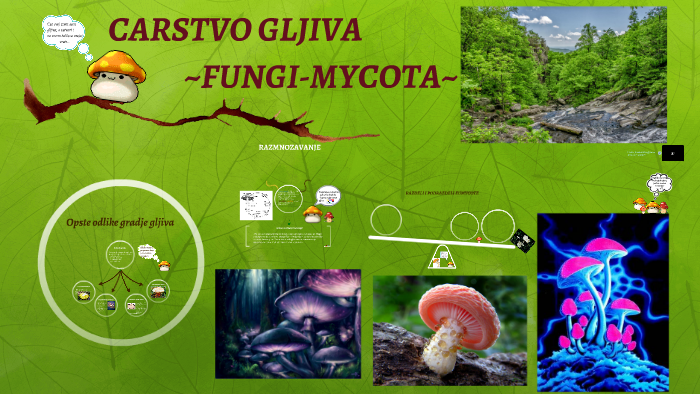 CARSTVO GLJIVA ~ Fungi-mycota ~ by Aleksandar V on Prezi