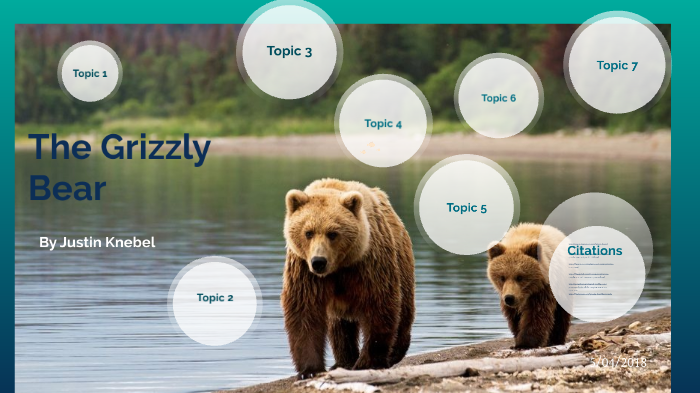 AP Biology Final Project-Grizzly Bears by Justin Knebel on Prezi