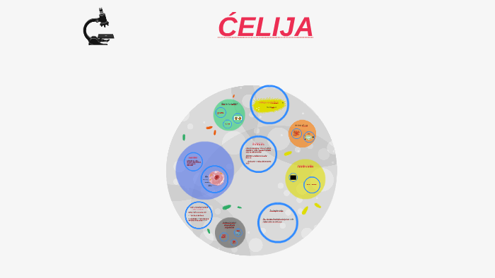 ĆELIJA by Filip Mihajlovic on Prezi