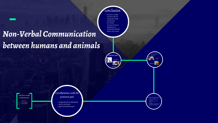 Non-Verbal Communication between humans and animals by laura fletcher ...