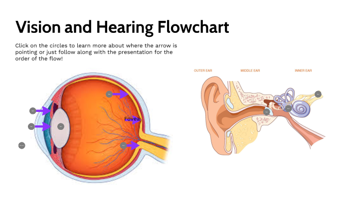 Vision Flowchart(ish) by Brianna Mussat