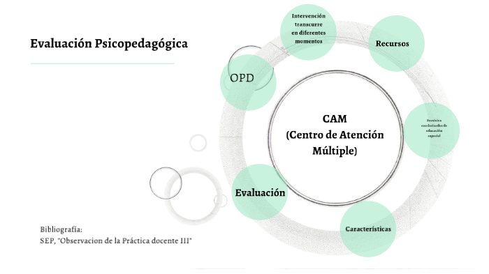 Principios de la evaluación psicológica by nancy pera on Prezi