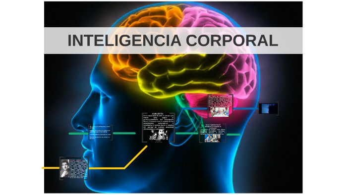 INTELIGENCIA CORPORAL by yeison salgado on Prezi