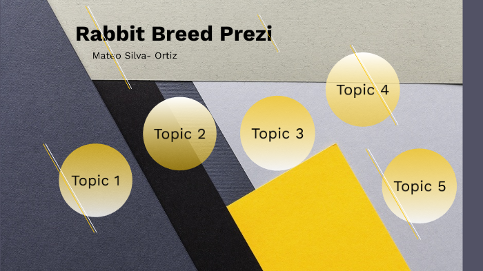 Mateo Silva Rabbit presentation by Mateo Silva Ortiz on Prezi