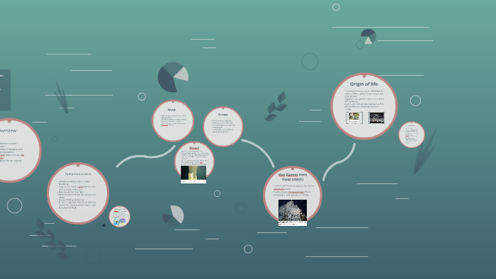 Hydrothermal vents in the Mid-Cayman Rise: Origin of life an by ...
