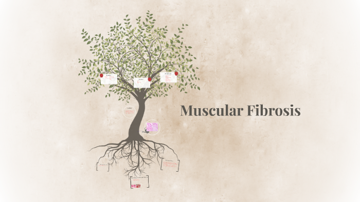 Muscular Fibrosis by marissa nichols on Prezi