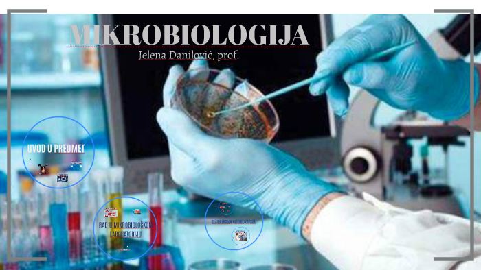 MIKROBIOLOGIJA by Jelena Danilović on Prezi