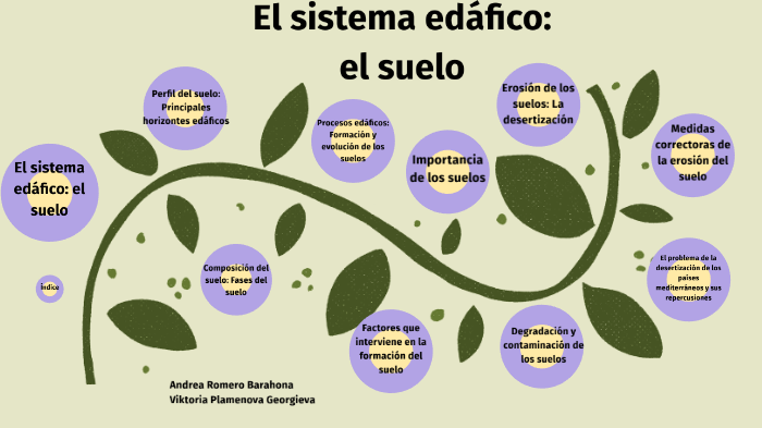 el sistema edáfico: el suelo by andrea romero barahona on Prezi