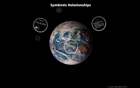 Symbiotic relationships by lauren berrier on Prezi