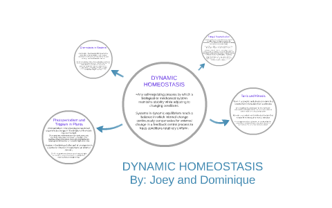 DYNAMIC HOMEOSTASIS by Dominique Staton on Prezi Next