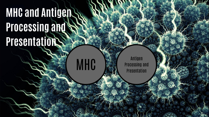 MHC and APP Slade by Mathew Slade on Prezi