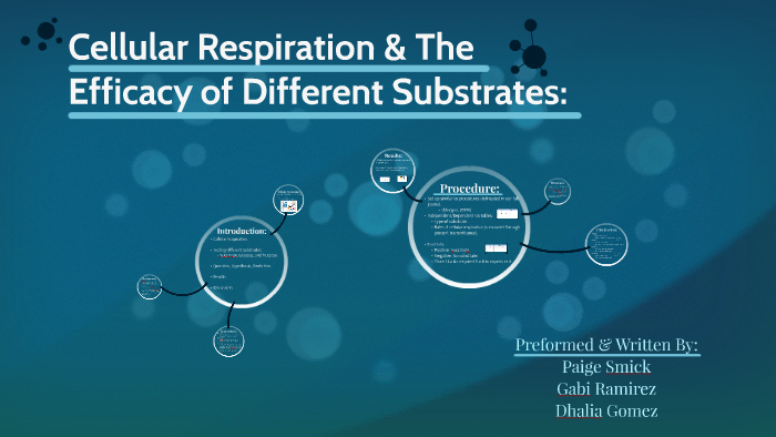 Cellular Respiration: The Efficacy of Different Substrates by Dhalia ...