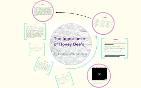 Urbanization of Honey Bees by M Bishop on Prezi