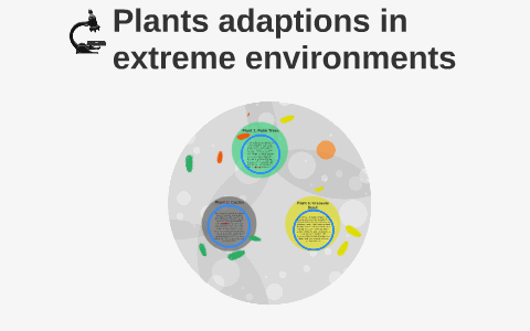 Plants adaptions in extreme environments by Emily McGall