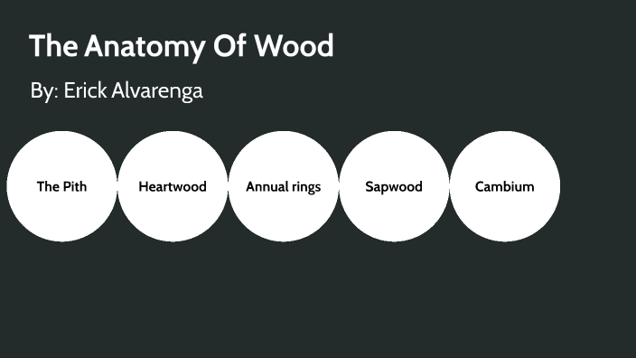 Anatomy Of Wood by Erick Alvarenga on Prezi