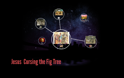 Jesus Curses the fig tree by cole swiney on Prezi