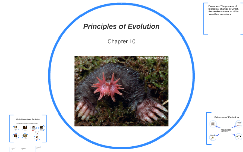 Principles of Evolution by David Lamb on Prezi