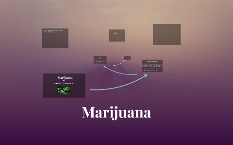marijuana by landon Barrett on Prezi