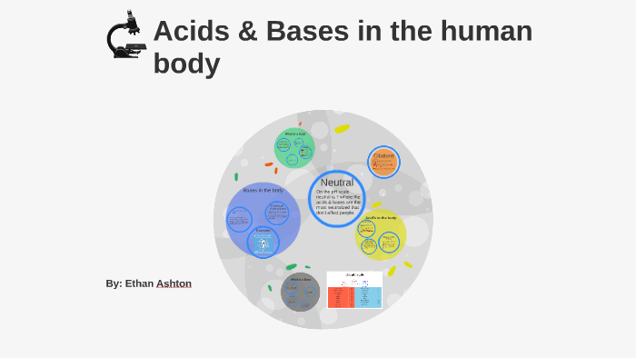 Acids & Bases in the human body by ethan ashton on Prezi