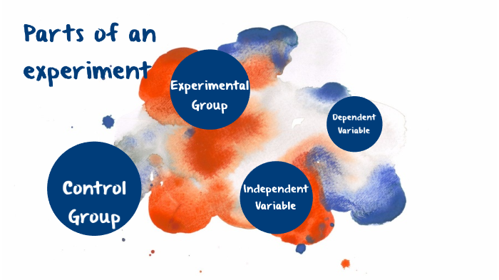 Parts of an Experiment by Alainey Hughes on Prezi