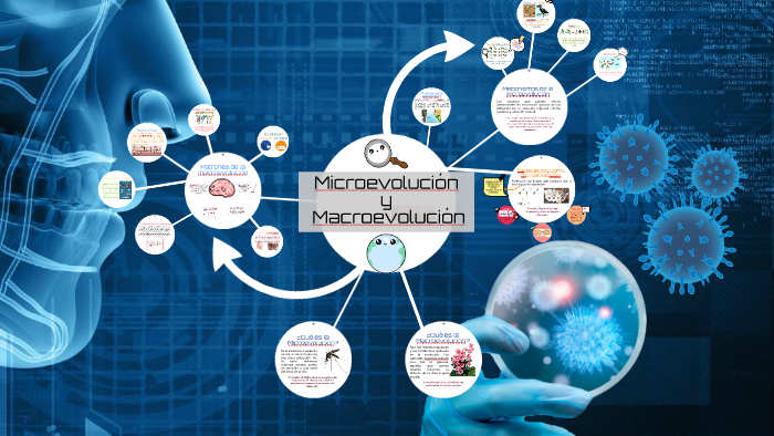 Microevolución y macroevolución by María Troncoso Alarcón on Prezi